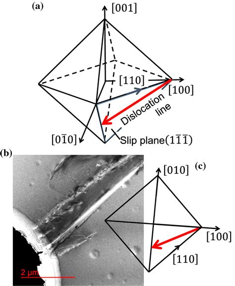 Crystallographic Orientation And Slip System Of Each Specimen A One Of