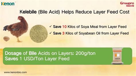 How To Save Layer Feed Cost With Kelebile Andy Kenon Posted On The