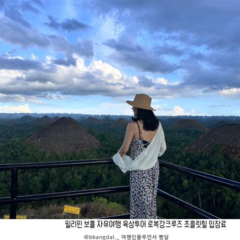 필리핀 보홀 자유여행 육상투어 경비 로복강크루즈 초콜릿힐 입장료 네이버 블로그
