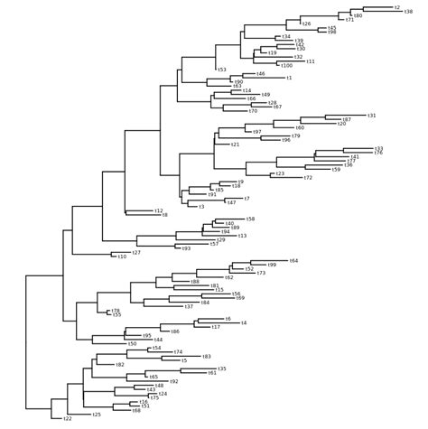 Drawing Phylogenetic Trees In R Ggtree Nabil Fareed
