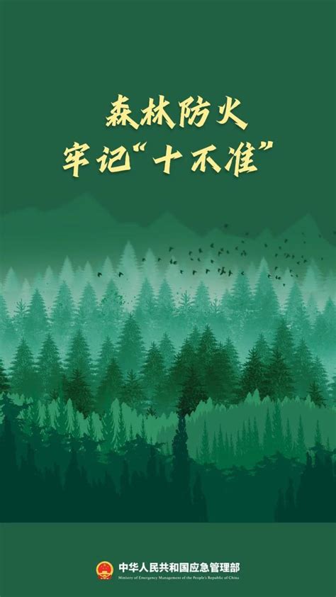 森林草原防灭火＂十不准＂请牢记！澎湃号·政务澎湃新闻 The Paper