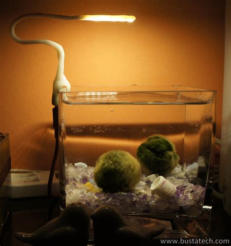 Diy Led Lamp For Small Aquarium Bust A Tech
