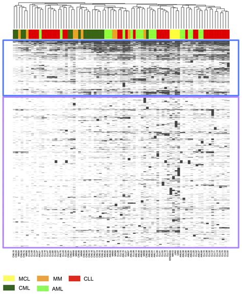 Unsupervised Clustering Analysis Of Hla Ligand Source Proteins Download Scientific Diagram