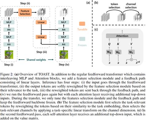 Arxiv 2305 Refocusing Is Key To Transfer Learning Csdn博客