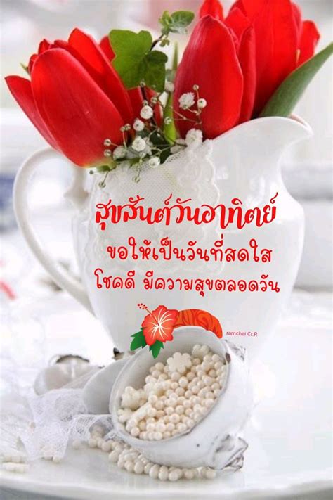 ปักพินโดย Ramchai Chuenbumrung ใน สวัสดีวันอาทิตย์ ในปี 2022