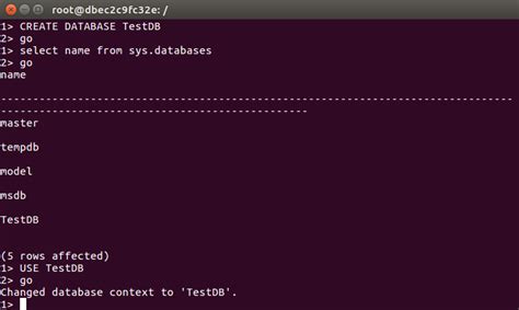 Sql1996 Installation Steps Of Sql Server 2017 Container Image With Docker
