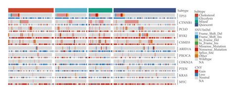 Mutation Features And Cnv Difference Among Four Molecular Subtypes In Download Scientific