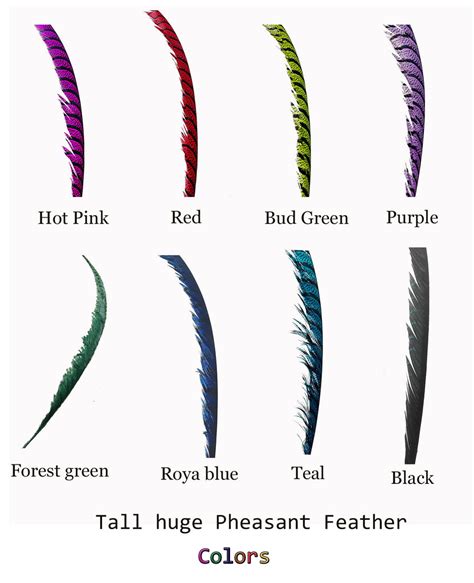 Tall Pheasant Feather Color Hot Fans