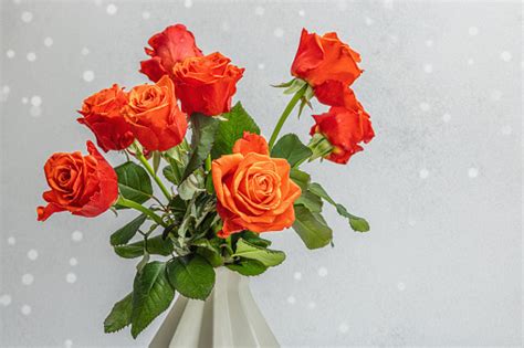 꽃병에 신선한 밝은 장미 꽃다발 낭만적인 선물 컨셉 인사말 카드 발렌타인 데이 여성의 날 0명에 대한 스톡 사진 및 기타 이미지 Istock