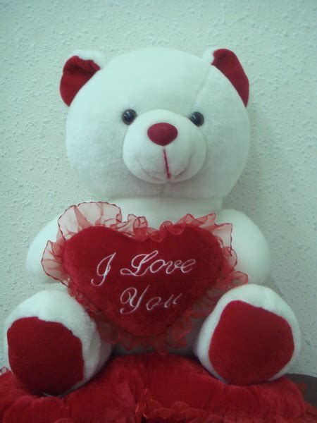 صورة دبدوب كبير دباديب كبيرة جميلة و متنوعة نايس