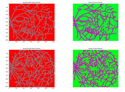 Colour Coded Image Of Wavelet Gradient Modulus Left And Curvature