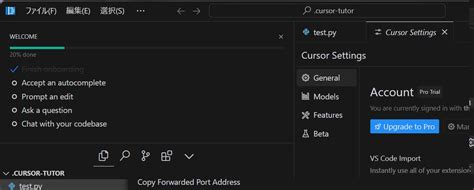 CursorPythonによるデータ分析環境構築 データサイエンティストへの道