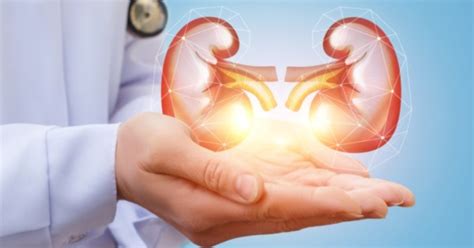 신장내과 명의 박철휘 교수가 말하는 당뇨병성 신장질환