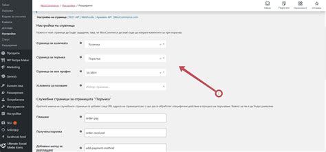 Wordpress Настройка на Woocommerce Аула урок