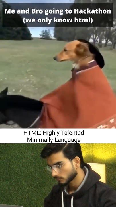Me And Bro After Learning Html 😎 Html Coding Meme Memes Youtube