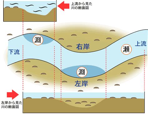フィールドノート｜川の流れのようす