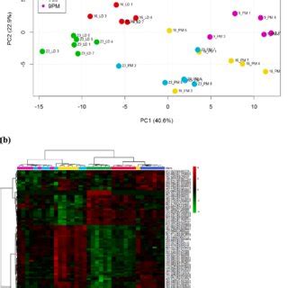 Principle Component Analysis PCA And Hierarchical Clustering Analysis
