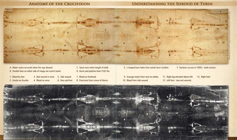 About The Shroud National Shroud Of Turin Exhibit