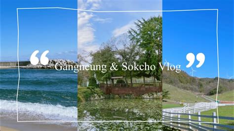 강릉 속초 여행 브이로그 Vlog2박3일 커플여행 코스 강릉맛집속초맛집강릉카페강릉숙소더보기 참고 Youtube