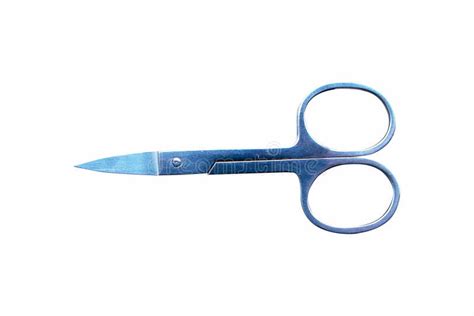 Stainless Scissors Small Isolated On White Background Small Stainless Steel Scissors Or Small