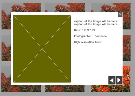 Javascript Align Popup In Middle Along With Navigation Button Stack