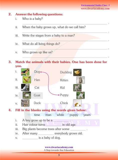 Ncert Solutions For Class 2 Evs Chapter 1 Growing Up