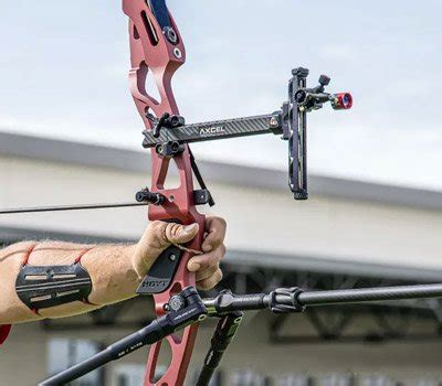 Spine Archery Spécialiste Du Tir à Larc Cible Et Chasse