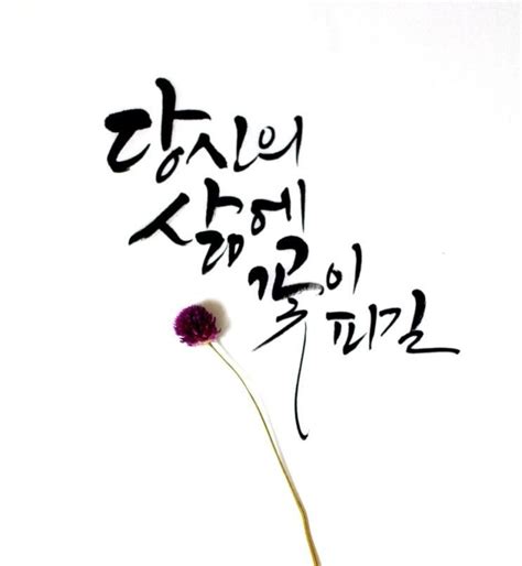 캘리그라피당신의 삶에 꽃이 피길 부산캘리그라피붓글씨로 좋은글 영감을 주는 인용구 현명 인용구 멋진 명언
