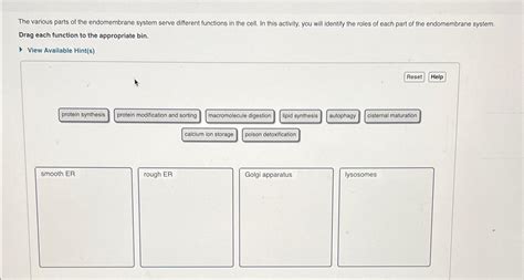 Solved The Various Parts Of The Endomembrane System Serve Chegg