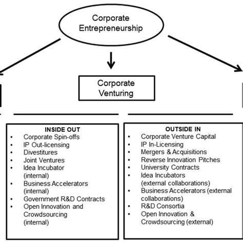 Corporate Entrepreneurship Model Download Scientific Diagram