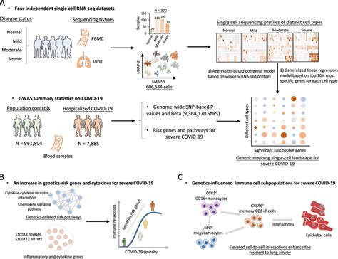 The Workflow For This Integrative Genomic Analysis A Combination Of Download Scientific