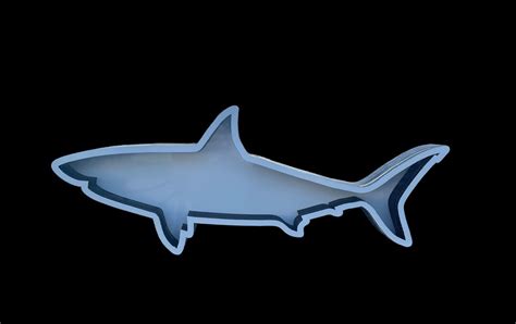 Shark Teeth Shadow Box Tooth Display For Shark Teeth Shark Tooth Collection Extra Large Shadow