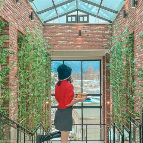 속초카페너래 디저트 빵지순례 핫플 아이와 가볼만한곳 네이트뷰