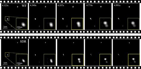 Figure 7 From Rapid Image Reconstruction Of Structured Illumination Microscopy Directly In The