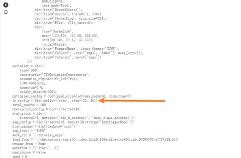 Error Occurs At `assert Policy In Lrconfig` When I Am Training My Custom Model With Tsm