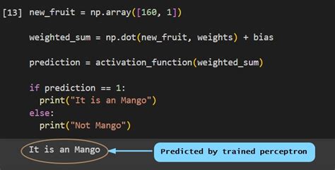 How To Build Perceptron In Python