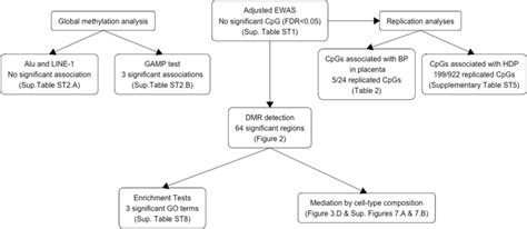 Workflow Of The Main Statistical Analyses Performed In This Study Download Scientific Diagram