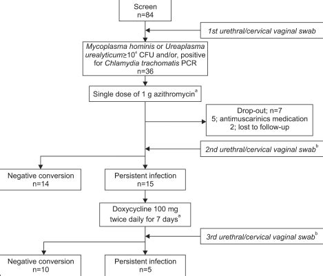 Participant Flow N 84 A Identical Treatment For The Women S Sexual Download Scientific