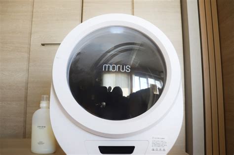 Morus Zero