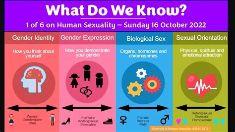 1 Of 6 On Human Sexuality What Do We Know Youtube