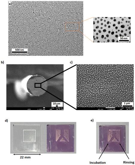 Sensors Free Full Text Synthesis And Integration Of Hybrid Metal Nanoparticles Covered With