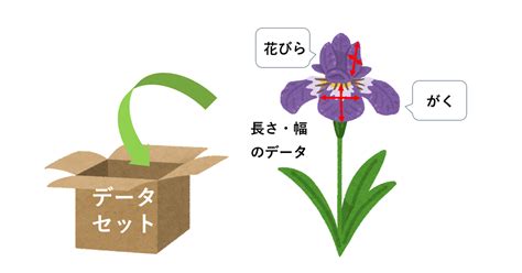 008アヤメのデータセットを確認しよう 小中高生向け 生成aiプログラミングスクール Momotech