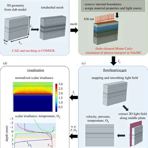 Schematic Showing The Different Steps Involved In The Multiphysics Download Scientific Diagram