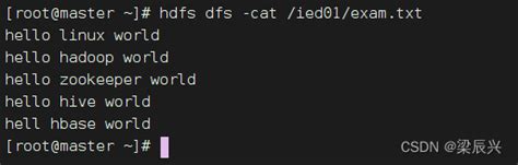使用idea工具，通过java Api 操作 Hdfs （文件目录的操作，含源码，详细操作步骤） （在idea上配置hadoop开发环境