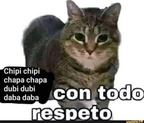 Chipi Chipi Chapa Chapa Duli Co Respeto Ifunny Brazil