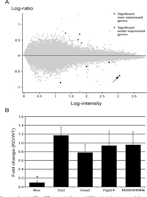 Figure 1 From Absence Of Non Specific Effects Of Rna Interference Triggered By Long Double