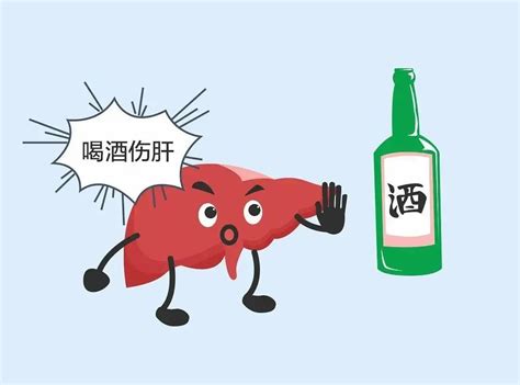 不把脂肪肝当回事专家表示危害超出你的想象 哔哩哔哩