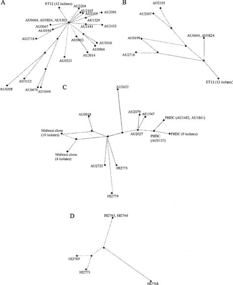 split graphs showing the interrelationships of members of multilocus