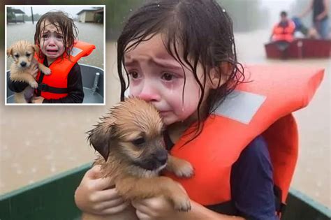 Ai Deepfakes Of Hurricane Helene Victims Circulate On Social Media