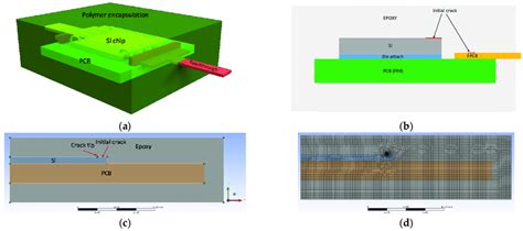 Finite Element Method Fem Model Of The Biocompatible Package A Download Scientific Diagram